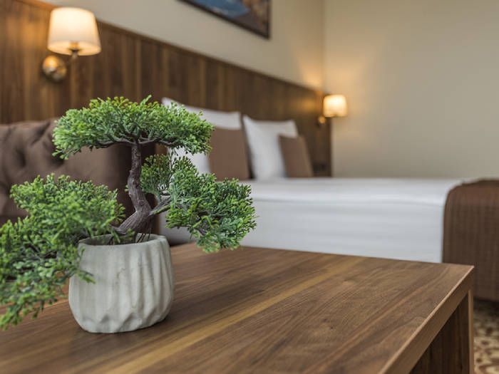 Poilsis „Gradiali“ Palangoje su maitinimu DVIEM nuo 337 € - Noriu Noriu ...