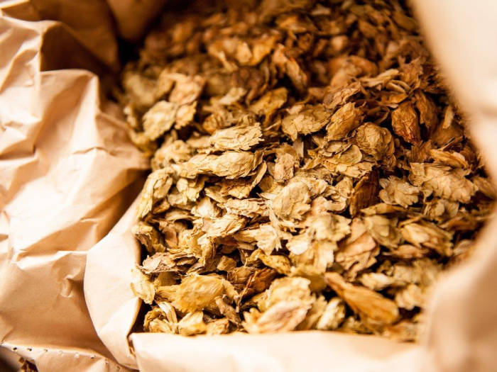 Midaus degustacija ir ekskursija po midaus muziejų DVIEM - Noriu Noriu ...